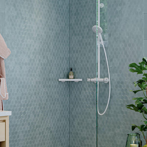 Hansgrohe AddStoris 浴室轉角置物架｜三角置物架｜角落置物架｜置物架｜可瀝水｜有客製色 41741000 41741670 ...